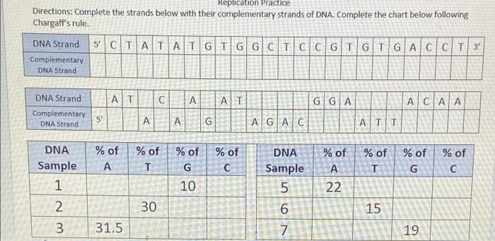 Solved Replication Practice Directions: Complete the strands | Chegg.com