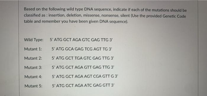Solved Based on the following wild type DNA sequence, | Chegg.com