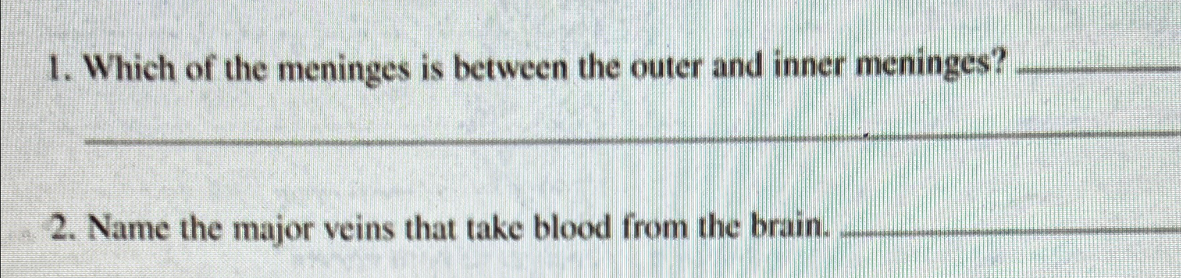 Solved Which of the meninges is between the outer and inner | Chegg.com