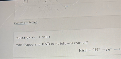 Solved Content attributionQUESTION 13 - 1 ﻿POINTWhat happens | Chegg.com