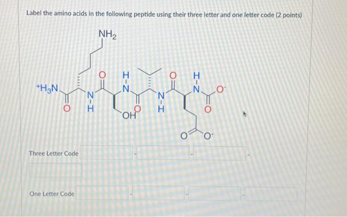 Solved Label the amino acids in the following peptide using | Chegg.com
