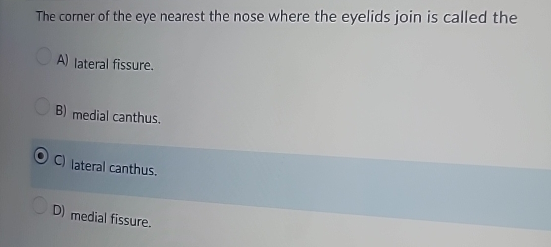 Solved The corner of the eye nearest the nose where the | Chegg.com