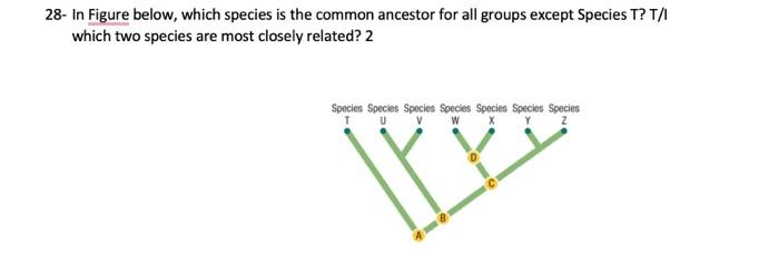 Solved 28- In Figure below, which species is the common | Chegg.com