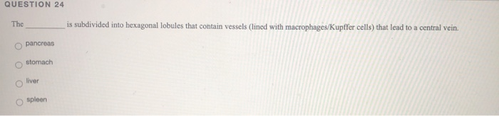 Solved QUESTION 24 The is subdivided into hexagonal lobules | Chegg.com