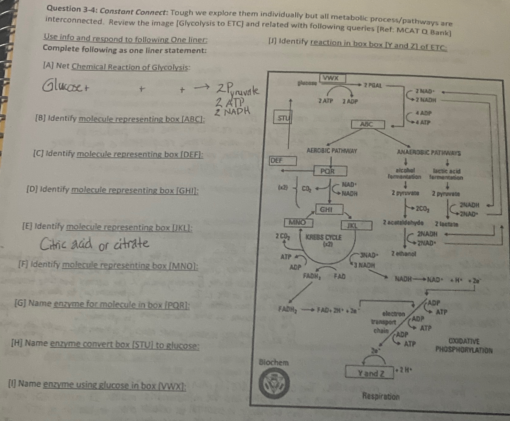 Solved Question 3-4: Constant Connect: Tough we explore them | Chegg.com