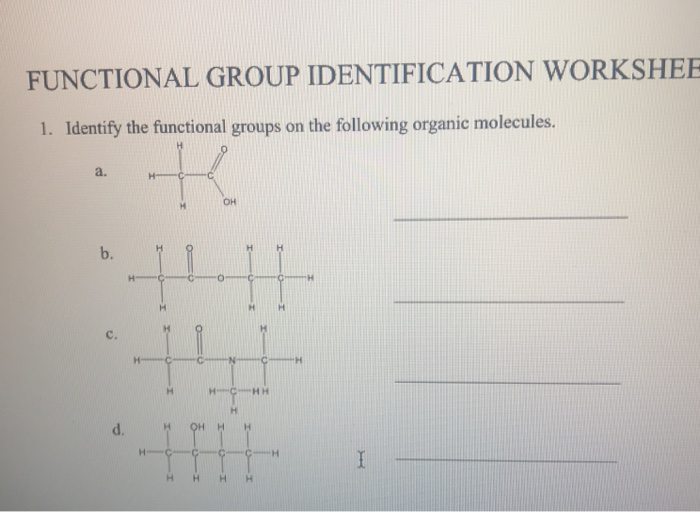 Solved 3. Identify the functional group in each of the | Chegg.com