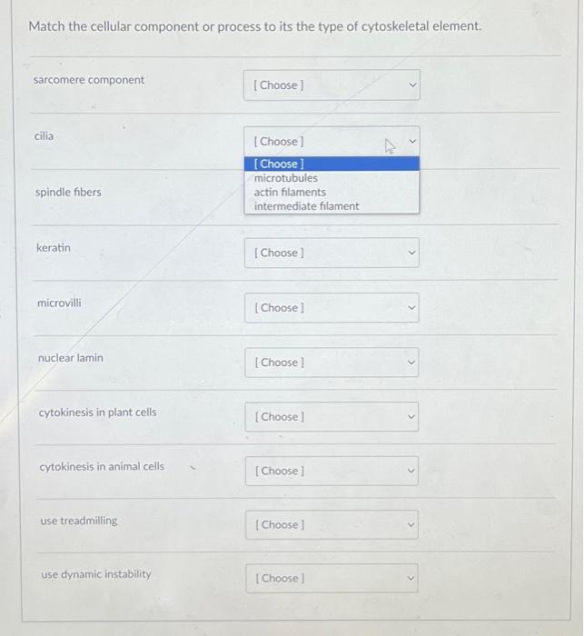 Solved Match the cellular component or process to its the | Chegg.com