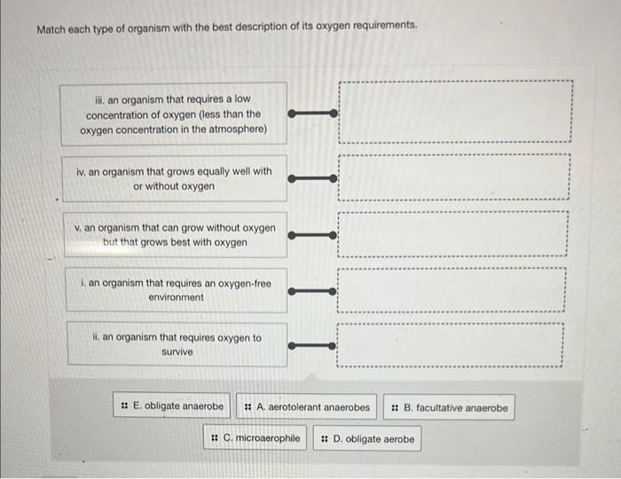 Solved Match each type of organism with the best description | Chegg.com