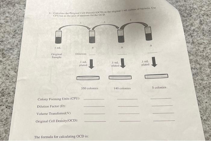 Solved 4. Calculate the Original Cell Density (OCD) in the | Chegg.com