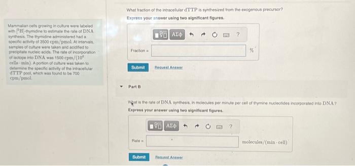 What fraction of the interacelular dTTP is | Chegg.com