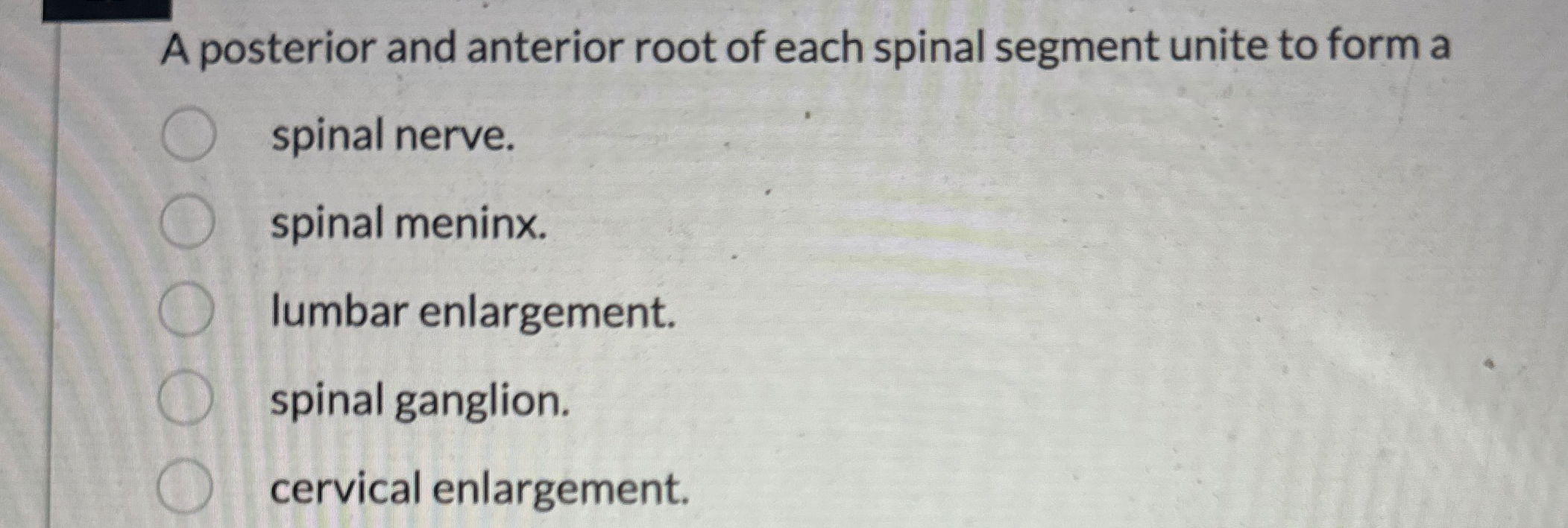 A posterior and anterior root of each spinal segment | Chegg.com