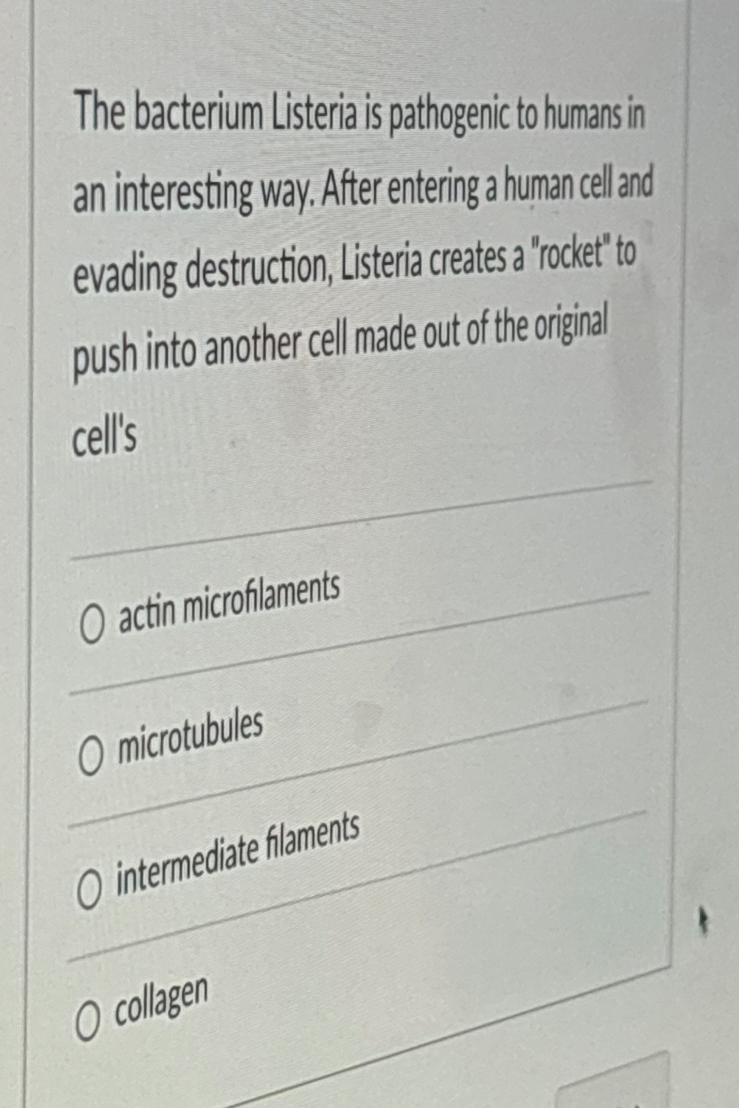 Solved The bacterium Listeria is pathogenic to humans in an | Chegg.com