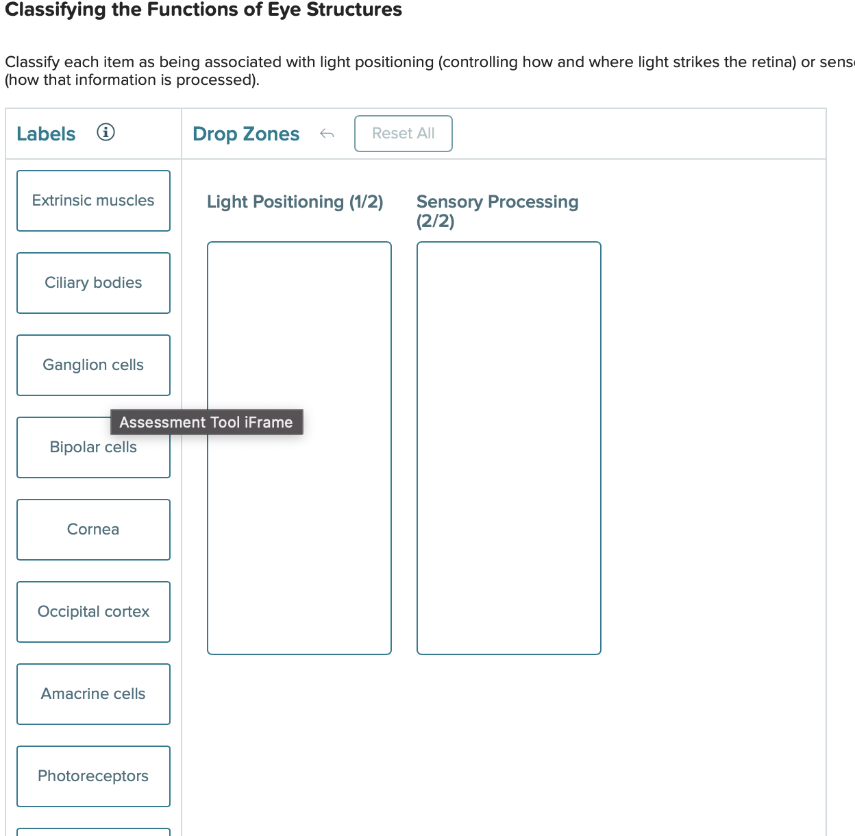 Solved Classifying the Functions of Eye StructuresClassify | Chegg.com Solved Classifying the Functions of Eye StructuresClassify | Chegg.com