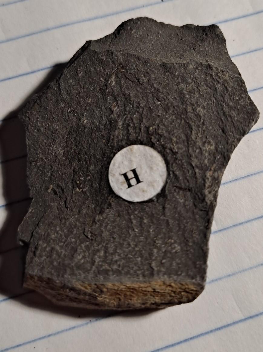 Solved Table 6: Sedimentary Rock Identification Rock Sample | Chegg.com