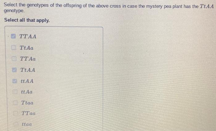 Solved Select the genotypes of the offspring of the above | Chegg.com