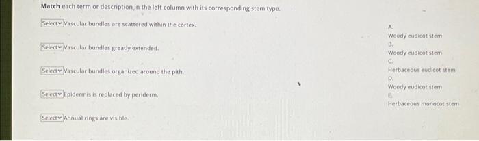 Solved Match each term or description in the left column | Chegg.com