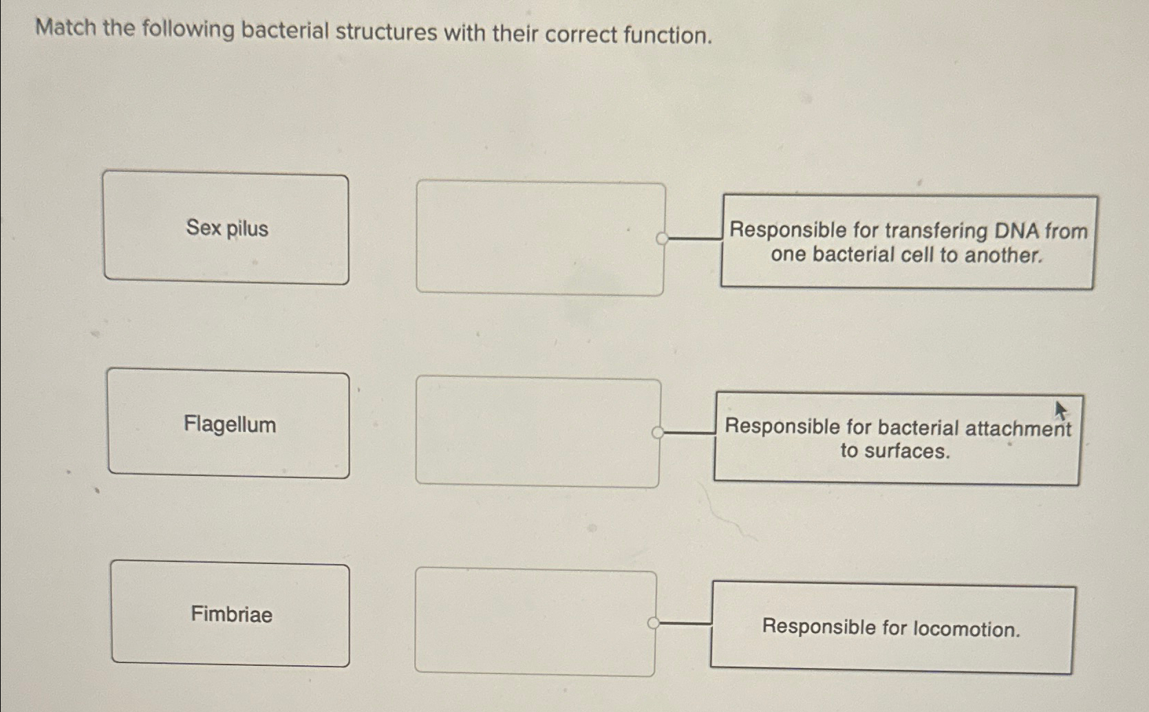 Solved Match the following bacterial structures with their | Chegg.com
