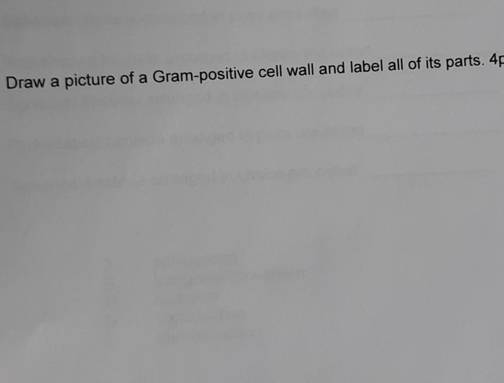 Solved Draw a picture of a Gram-positive cell wall and label | Chegg.com