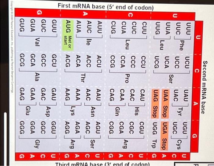 Solved Hello, in my biology class we were learning about the | Chegg.com