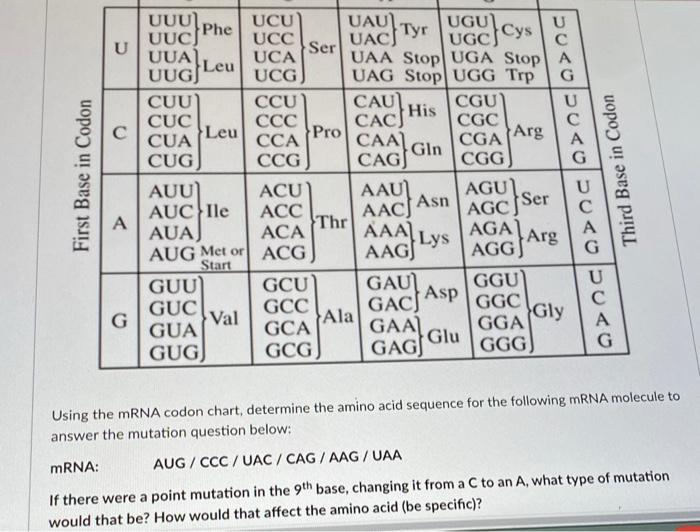 Solved UUUphe UUA Leu First Base in Codon UCU UAUI Tyr | Chegg.com