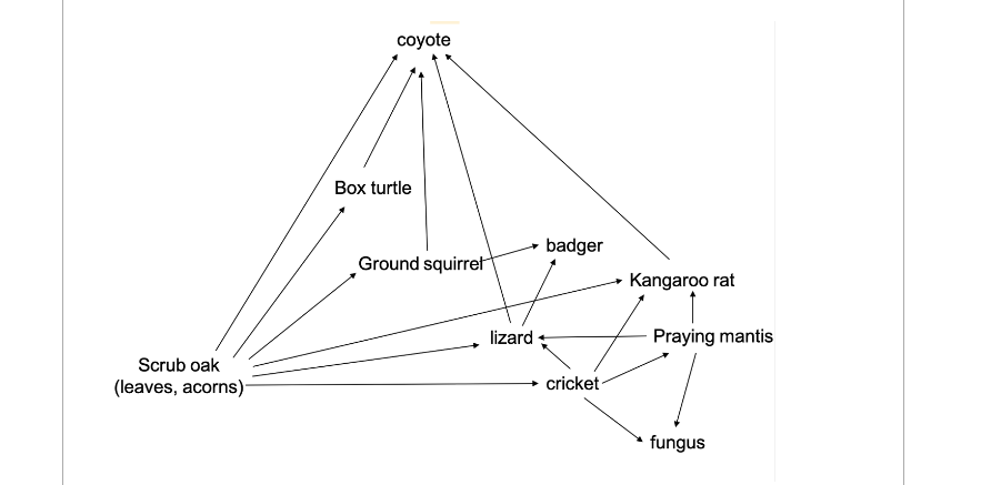 Solved Given the information provided in the food web and | Chegg.com