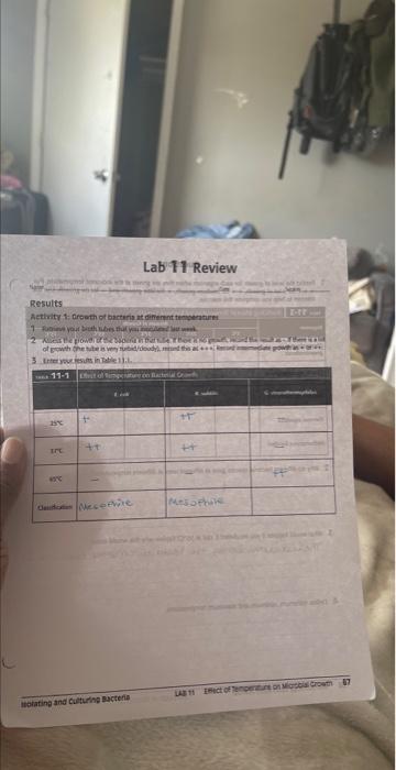 Lab 11 Review | Chegg.com