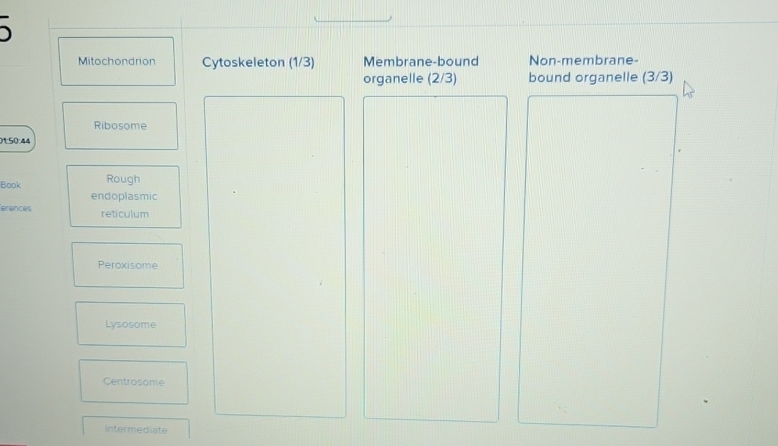 Solved Cytoskeleton (1/3)Membrane-boundorganelle | Chegg.com