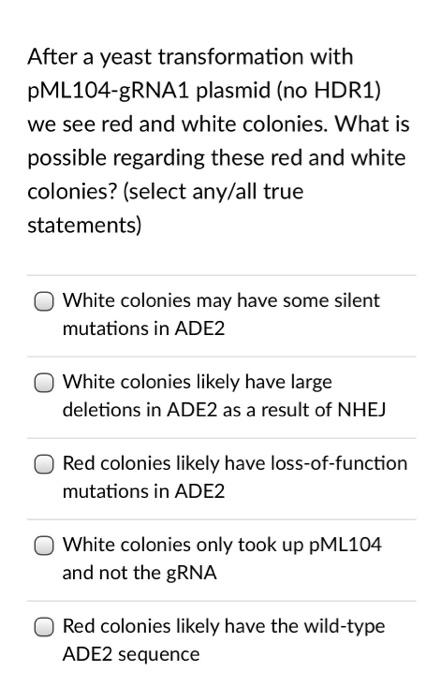 Solved After a yeast transformation with PML104-gRNA1 | Chegg.com