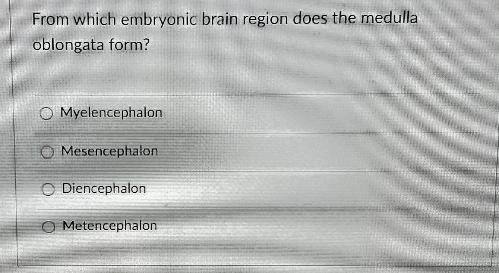 Solved From which embryonic brain region does the medulla | Chegg.com