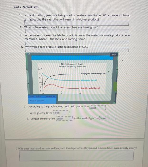Solved 5. According to the graph above, Lactic acid | Chegg.com