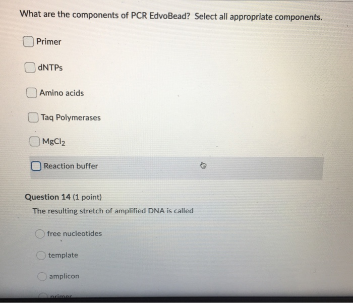 Solved What are the components of PCR EdvoBead? Select all | Chegg.com