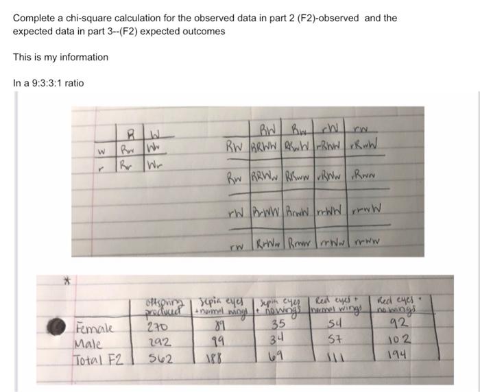 Solved Complete a chi-square calculation for the observed | Chegg.com