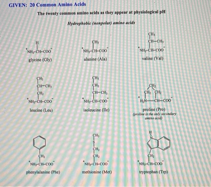 Solved GIVEN: 20 Common Amino Acids The twenty common amino | Chegg.com