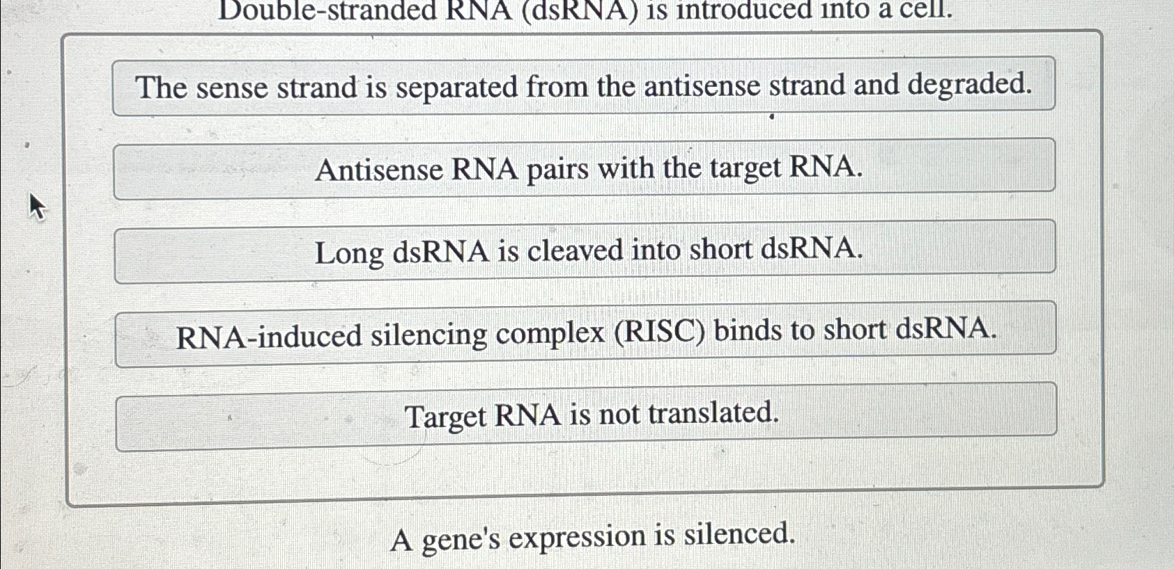 Solved The sense strand is separated from the antisense | Chegg.com