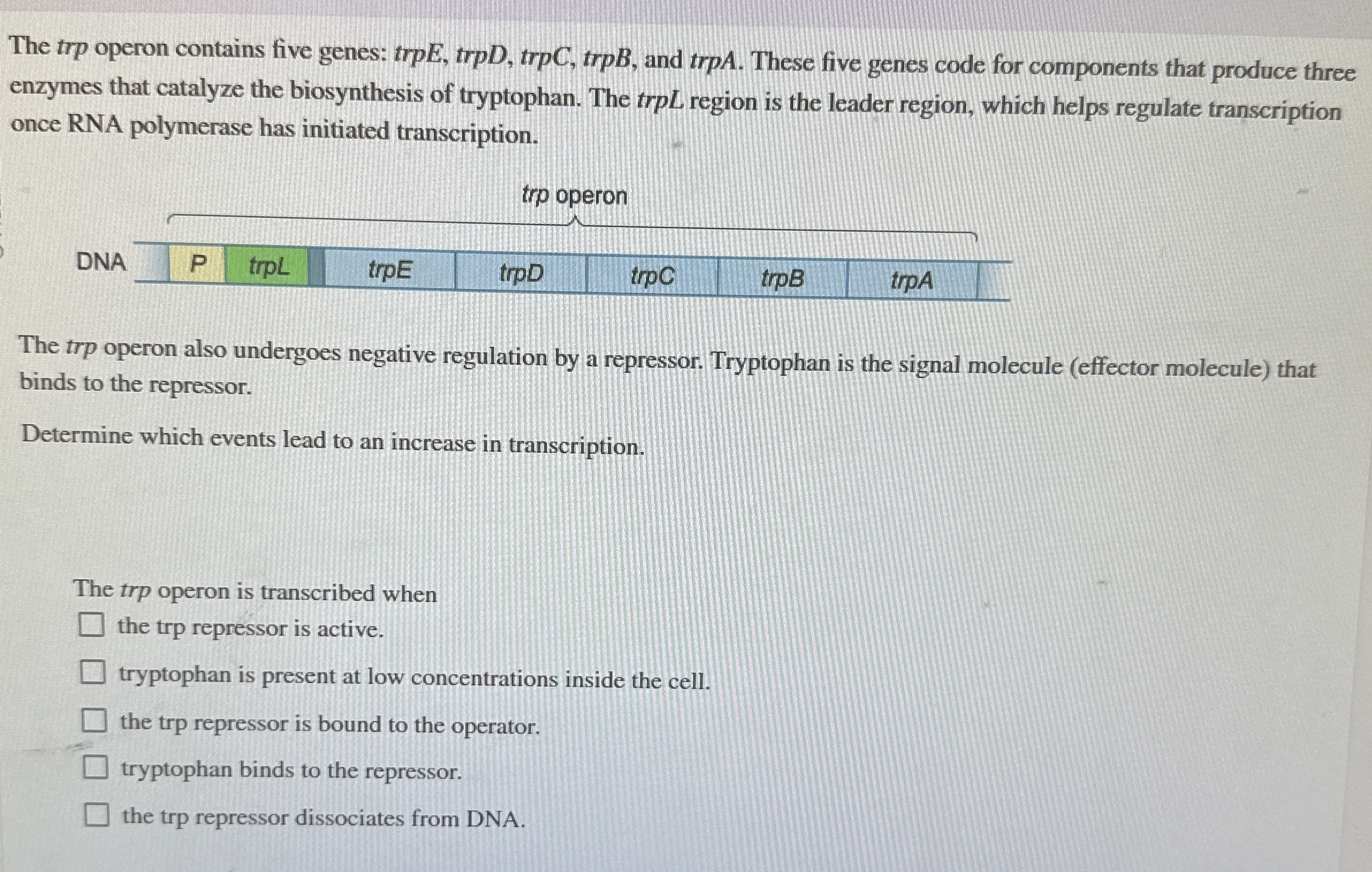 Solved The trp ﻿operon contains five genes: | Chegg.com
