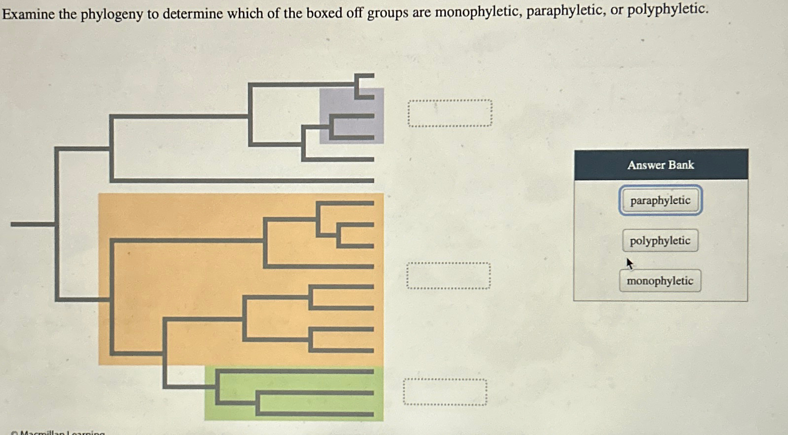 Examine the phylogeny to determine which of the boxed | Chegg.com