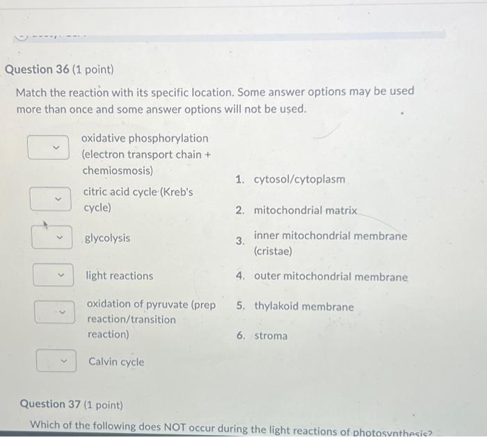 Solved Question 36 (1 point) Match the reaction with its | Chegg.com