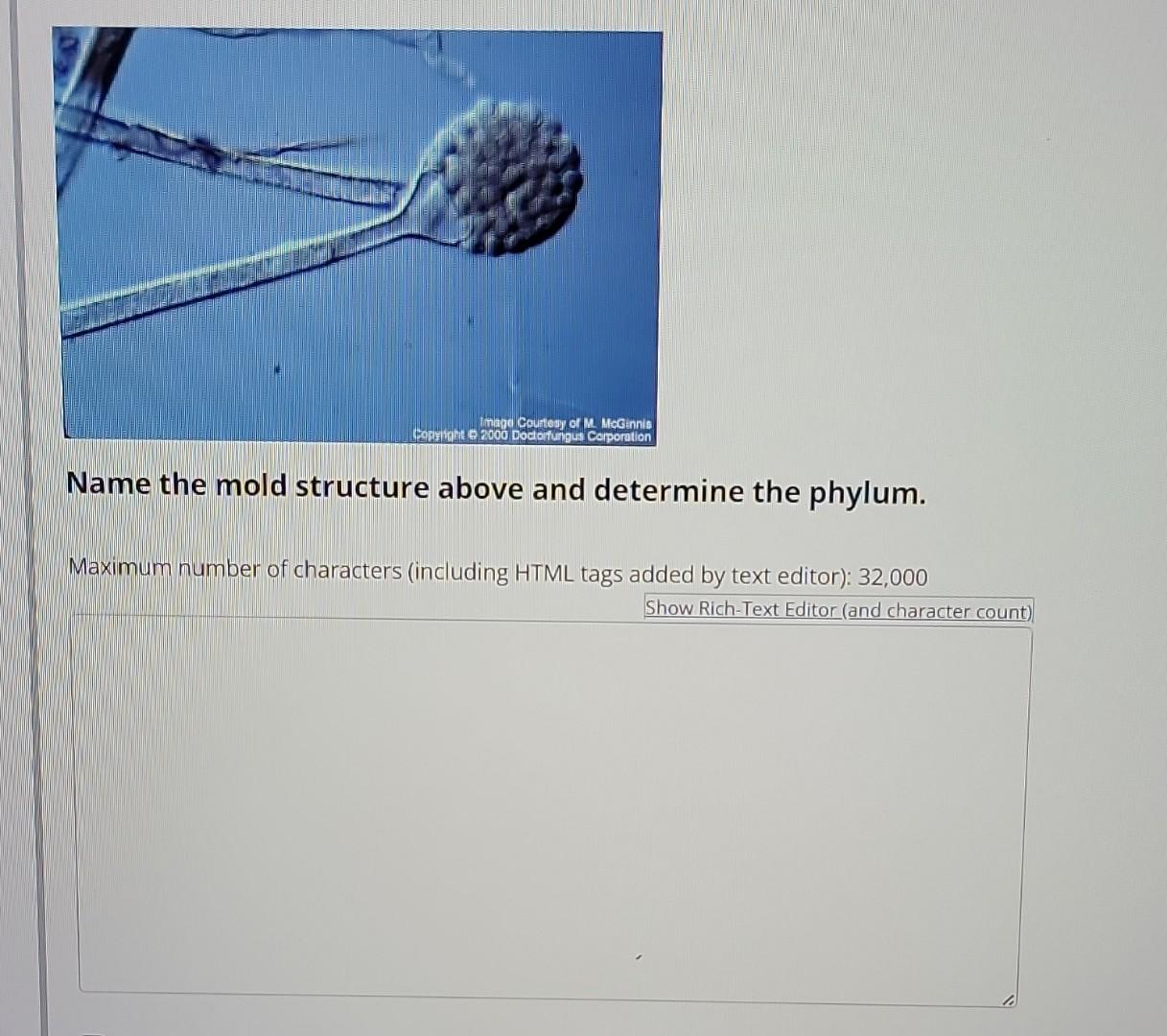 Solved Name the mold structure above and determine the | Chegg.com