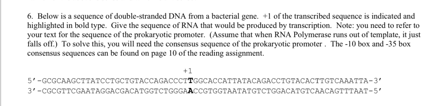 Solved Below is a sequence of double-stranded DNA from a | Chegg.com