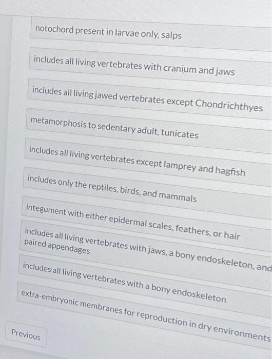 Solved match phylogeny ( urochordata, amniota, teleostomi, | Chegg.com