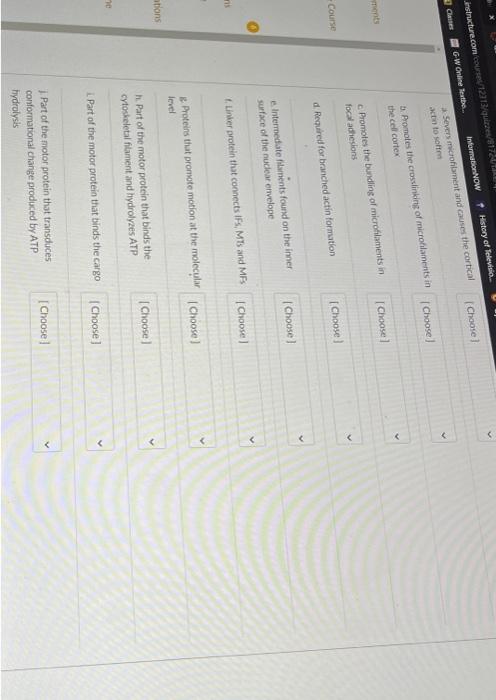 Solved forming peptide b. Removes the ER signal sequence | Chegg.com