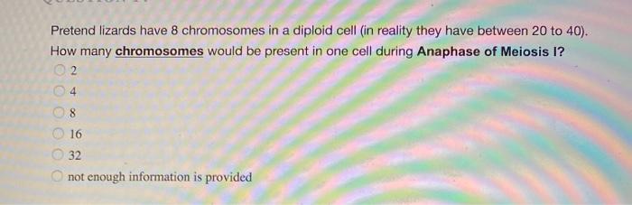 Solved Pretend lizards have 8 chromosomes in a diploid cell | Chegg.com
