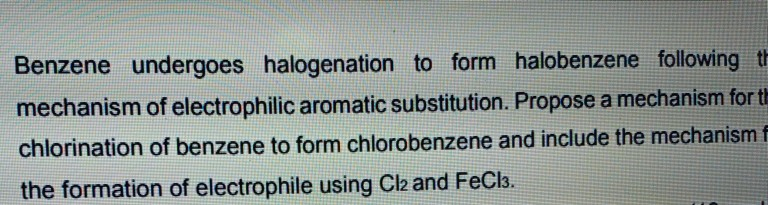 Solved Benzene undergoes halogenation to form halobenzene | Chegg.com