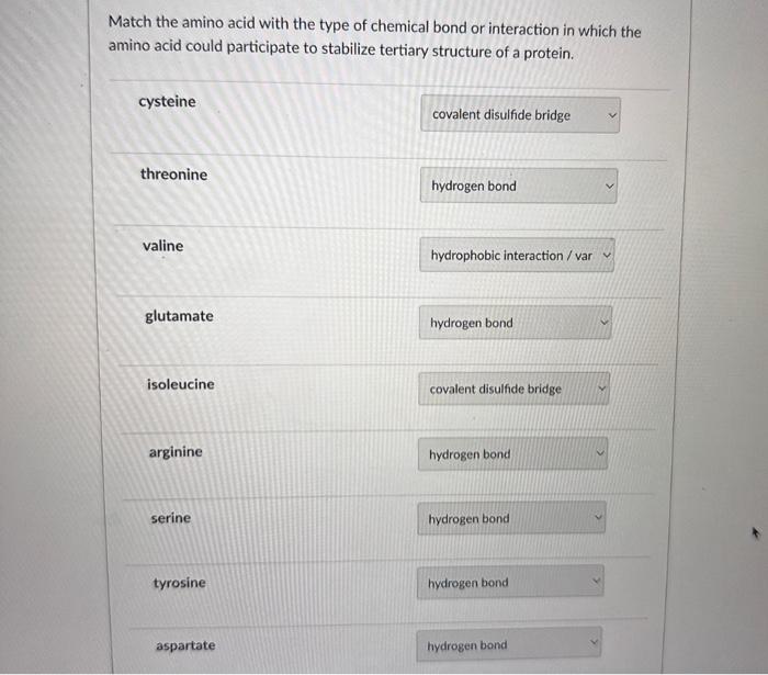 Solved Match the amino acid with the type of chemical bond | Chegg.com