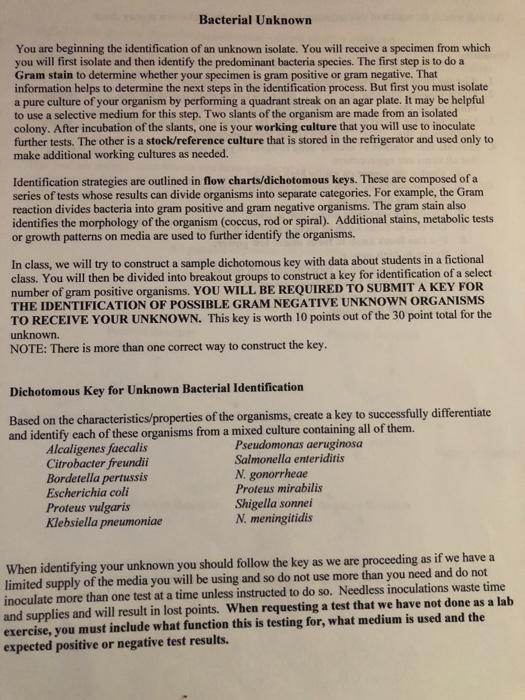 Bacterial Unknown You are beginning the | Chegg.com