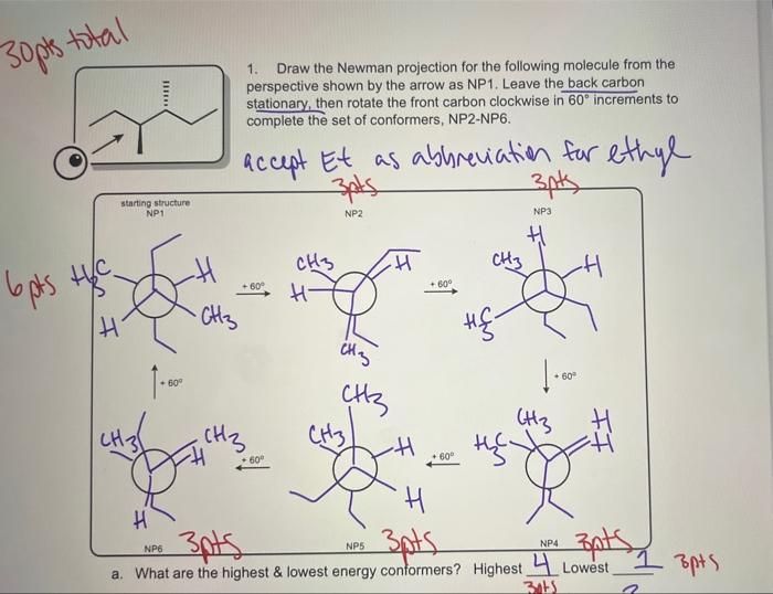 Solved I understand the concept of the newman projections | Chegg.com
