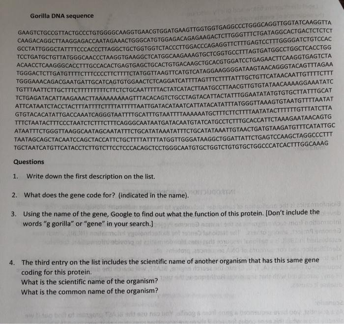 Gorilla DNA sequence | Chegg.com