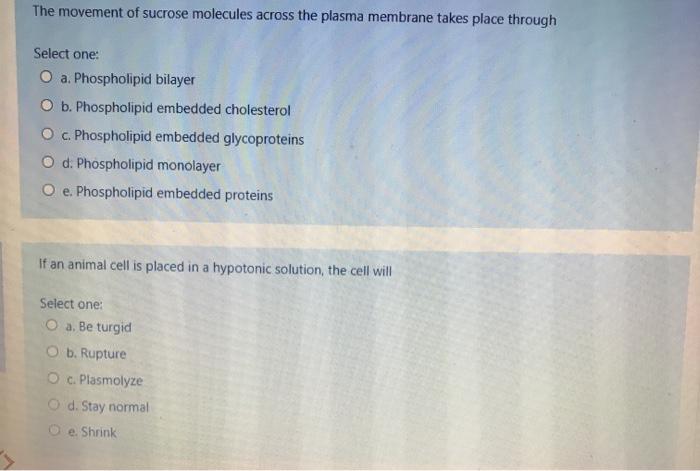 Solved The movement of sucrose molecules across the plasma | Chegg.com