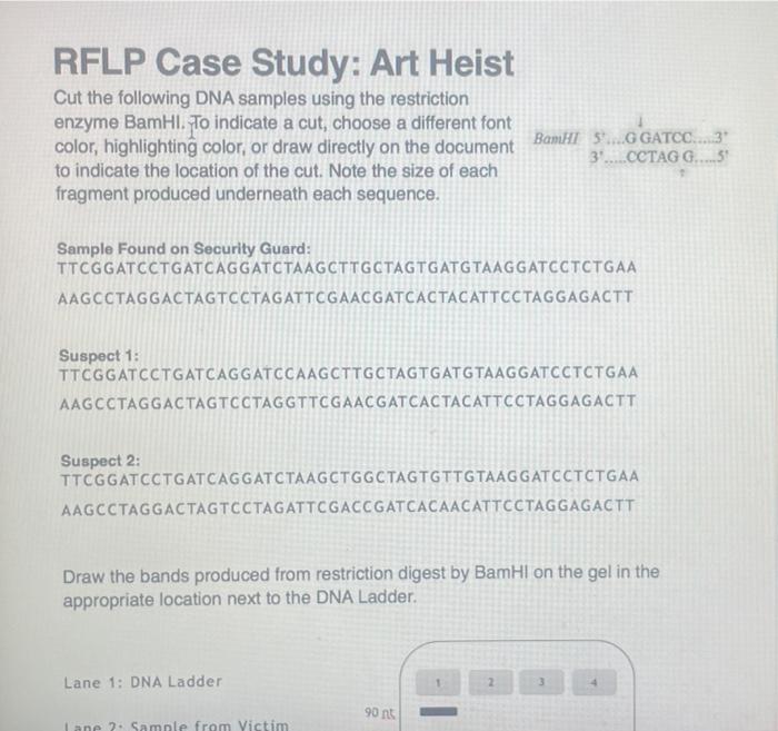 Solved L10.37 RFLP Case Study Homework Download the RFLP | Chegg.com