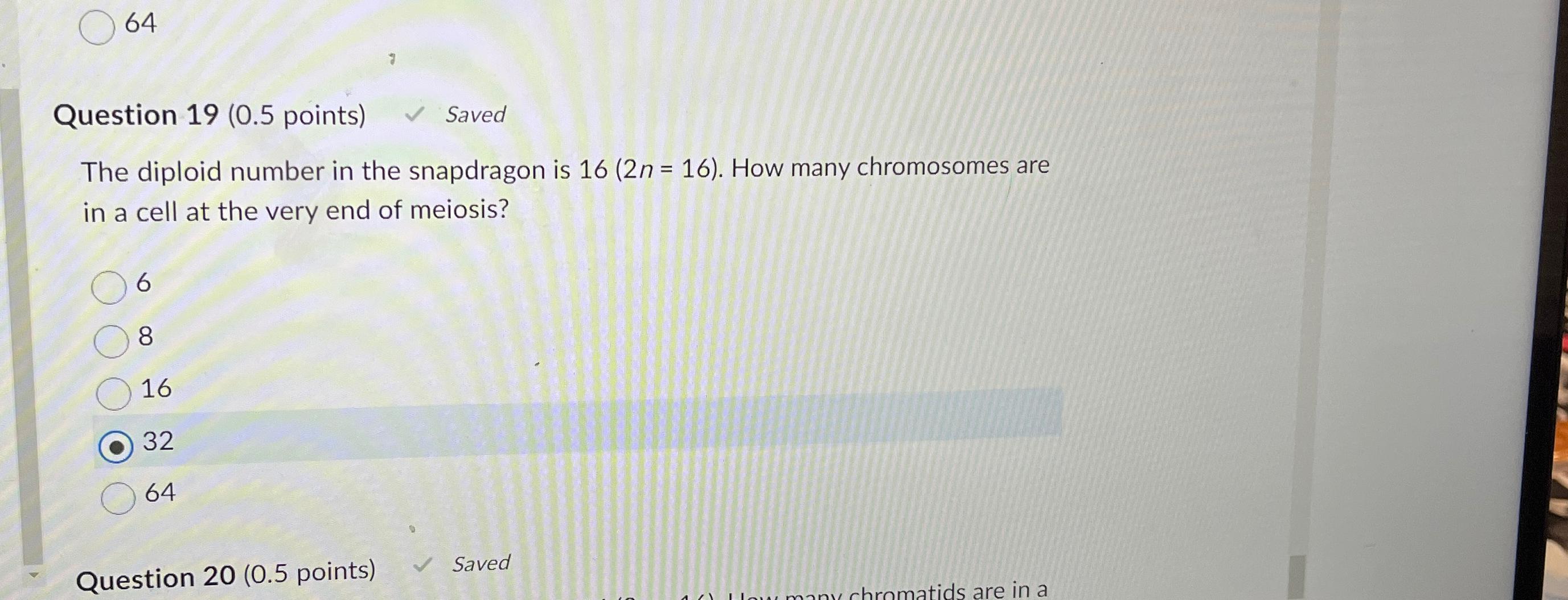 Solved 64gQuestion 19 (0.5 ﻿points) ﻿SavedThe diploid | Chegg.com